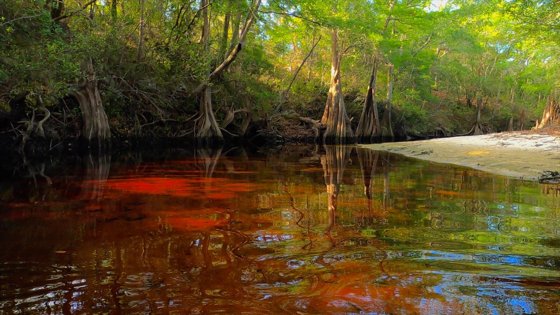 River Obscura - Documentary Film Festival | Panama City, Florida ...